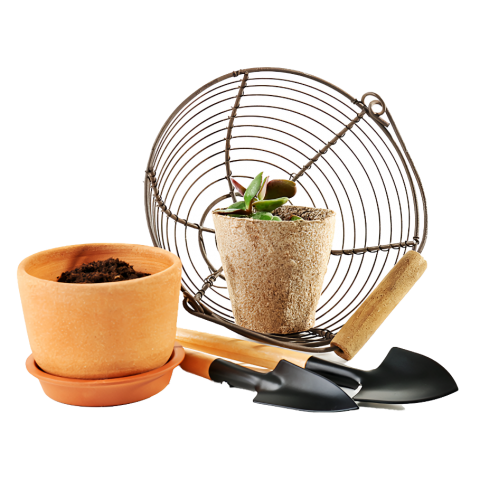 Vanilla Farm Advisory Service | Kairos Agriculture