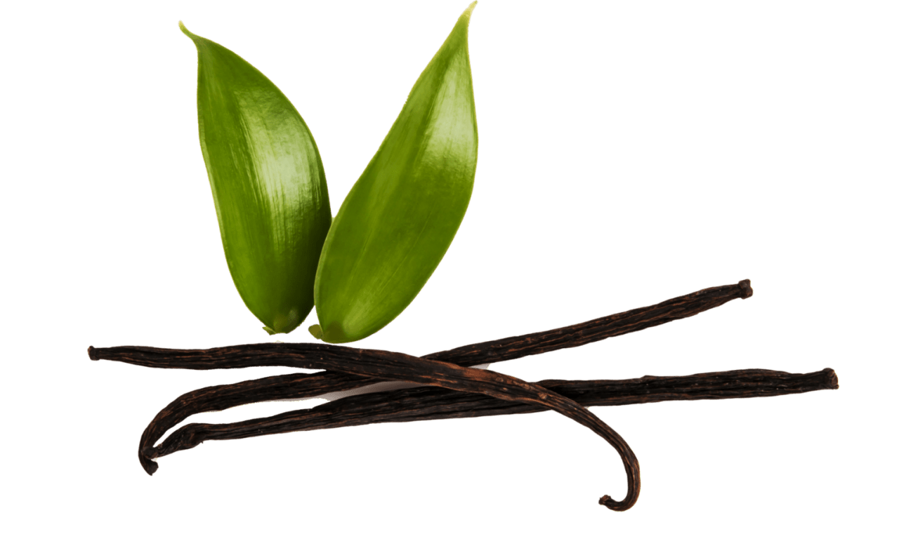 Vanilla Farm Advisory Service | Kairos Agriculture